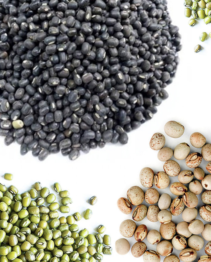 Urad/Tur/Mung - Pulse Pod