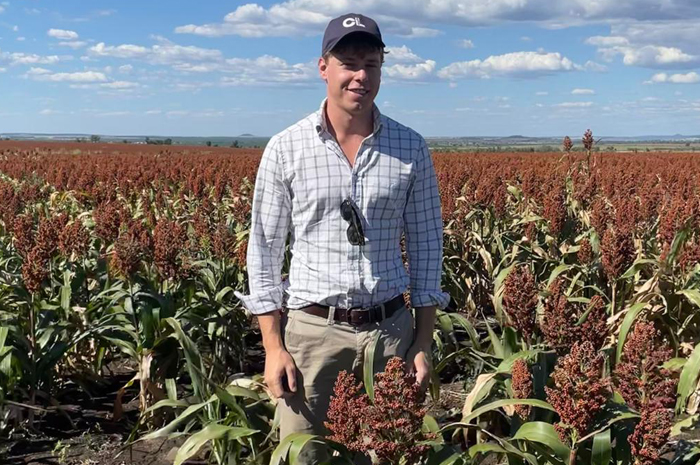 Australian new crop lentil, chickpea and faba update / Nick Crowley on ...